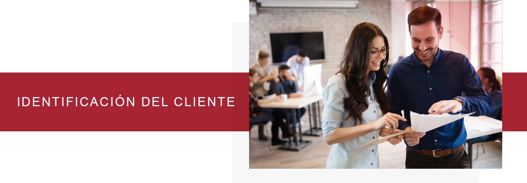 Insignia Life - El Seguro de tu Vida